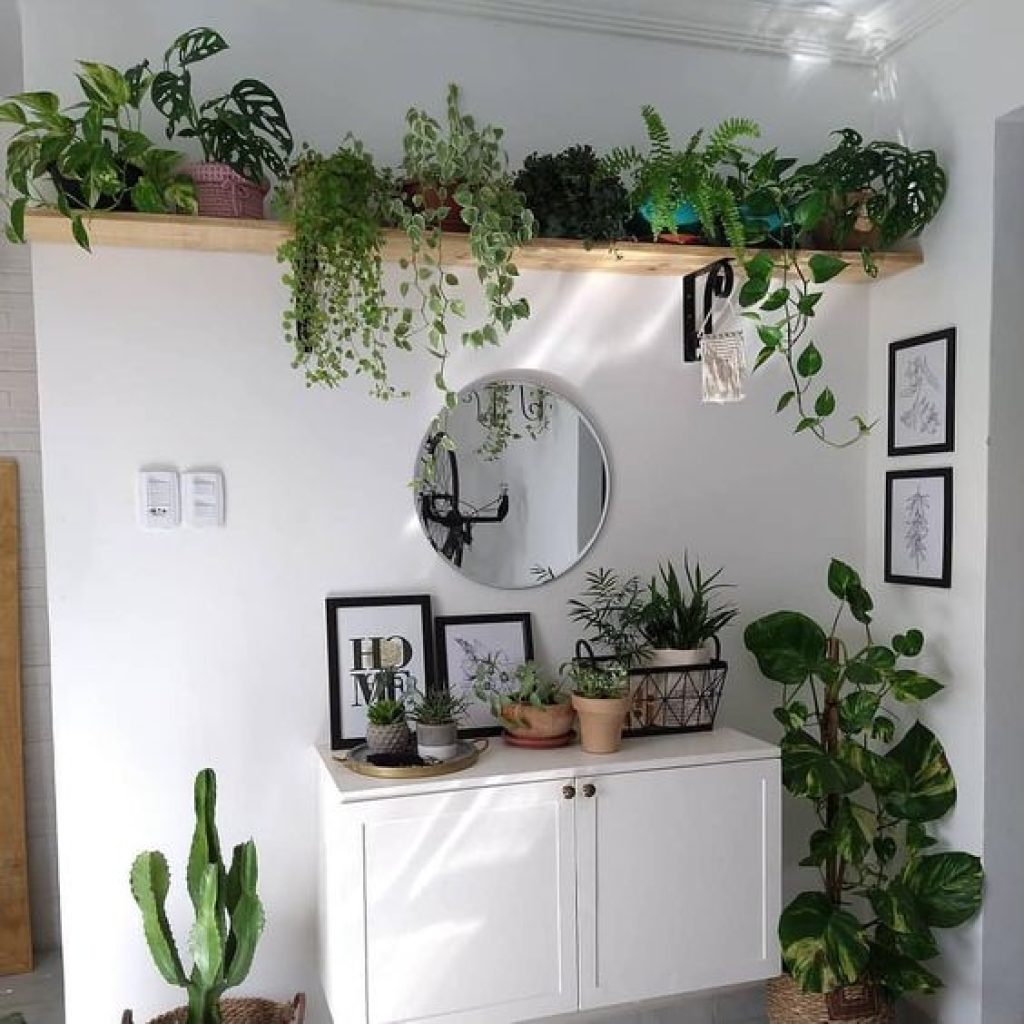 Você precisa decor Arquivo para urban jungle; dicas de decoração para ...