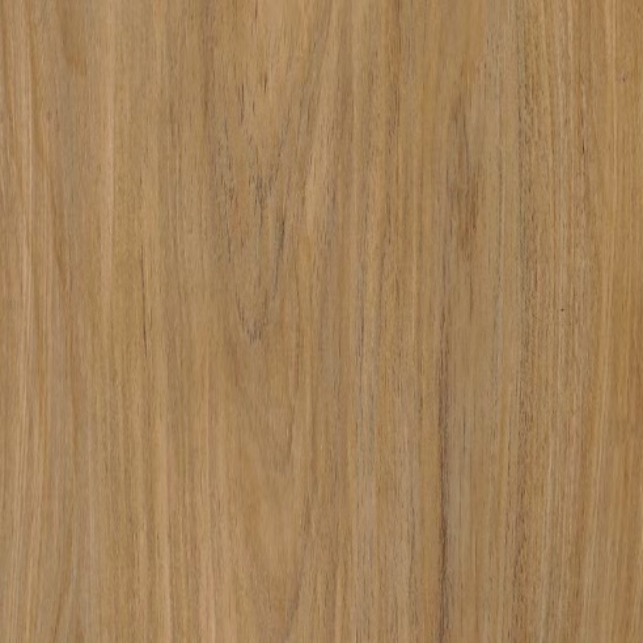 Tons de madeira para o seu projeto - Você precisa decor